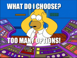 Too Many Choices: Fun with WordPress